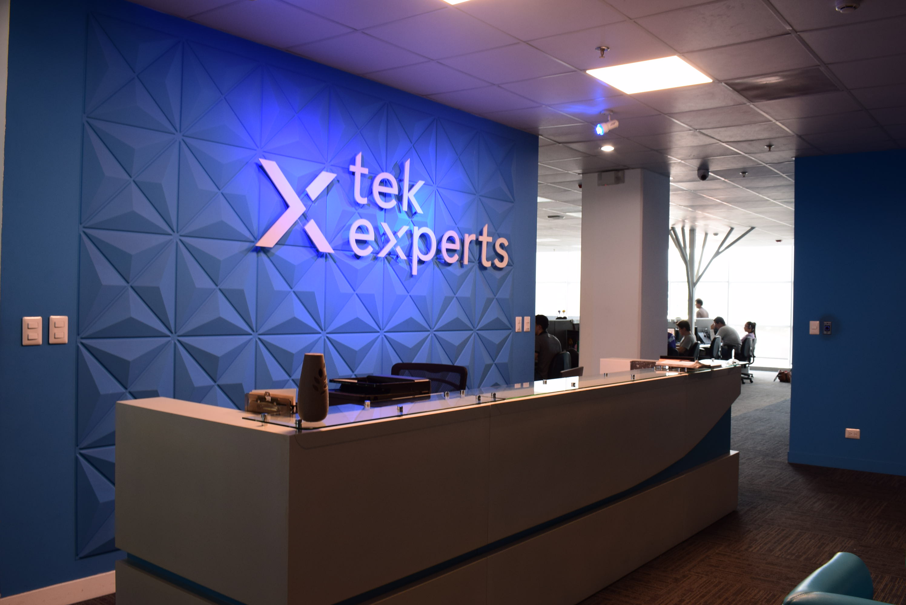 Costa Rica se posiciona como la operación más grande de Tek Experts a ...